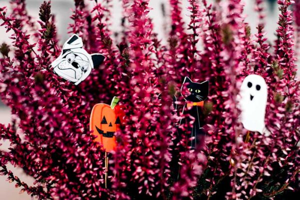 Halloween Color Palettes For Your Next Spooky Creative Design